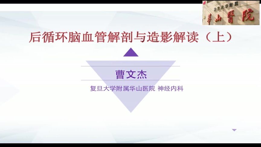 大脑后动脉、丘脑供血动脉血管解剖和造影解读