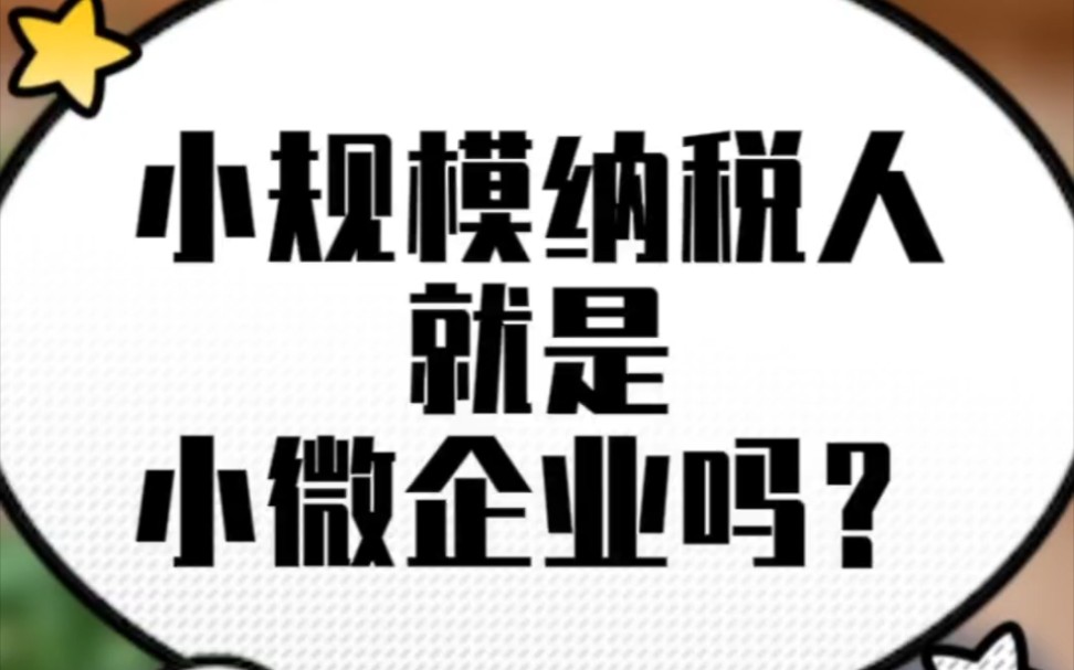 小规模纳税人就是小微企业吗