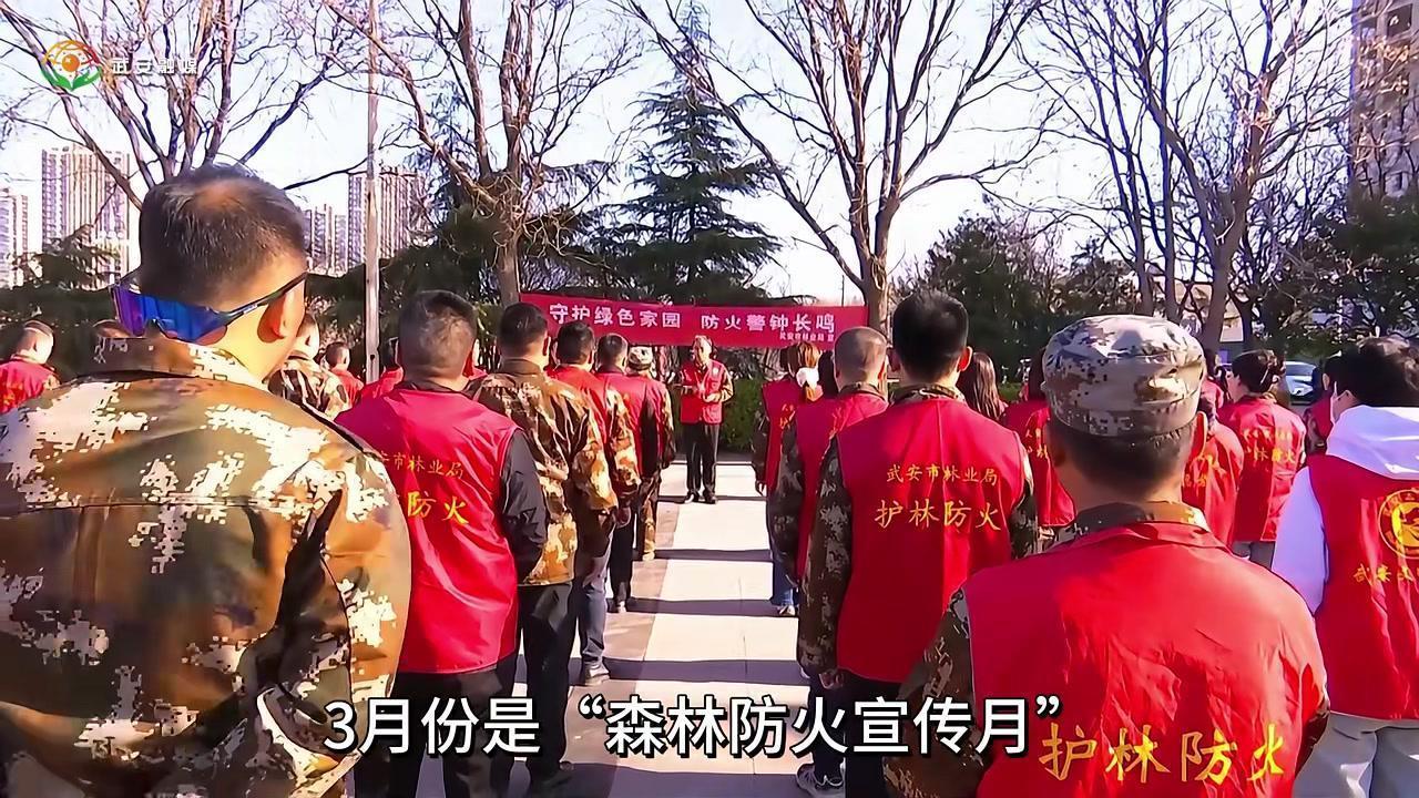 20万群众受教育!武安这场森林防火宣传太硬核!#本地新闻#我在武安...