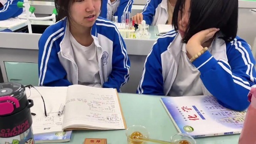 化学平衡的影响因素实验探究