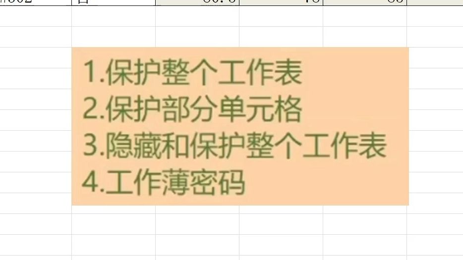 梳理29页 17题 保护整个工作表 保护部分单元格 隐藏和保护整个工作...