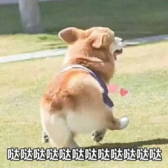 馄饨饨饨饨er 