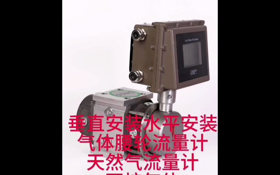 黑龙江气体腰轮流量计 天然气流量计厂家