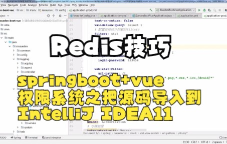 【Redis技巧】springboot+vue权限系统之把源码导入到IntelliJ IDEA11
