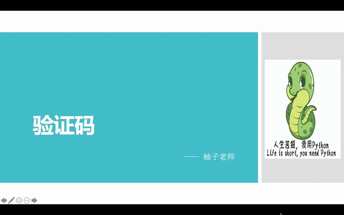 Python之你所不知道的的验证码