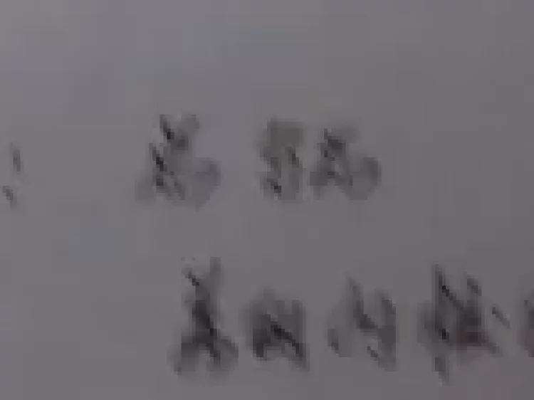 小学三年级语文作文起步教学微课_标清