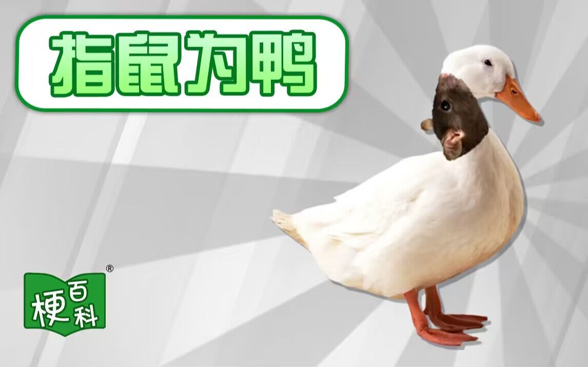 【梗百科】指鼠为鸭是怎么了?