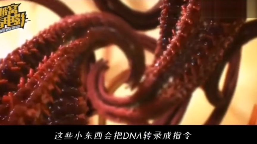 人体细胞与病毒大战,堪比史诗级电影,看得人热血沸腾!