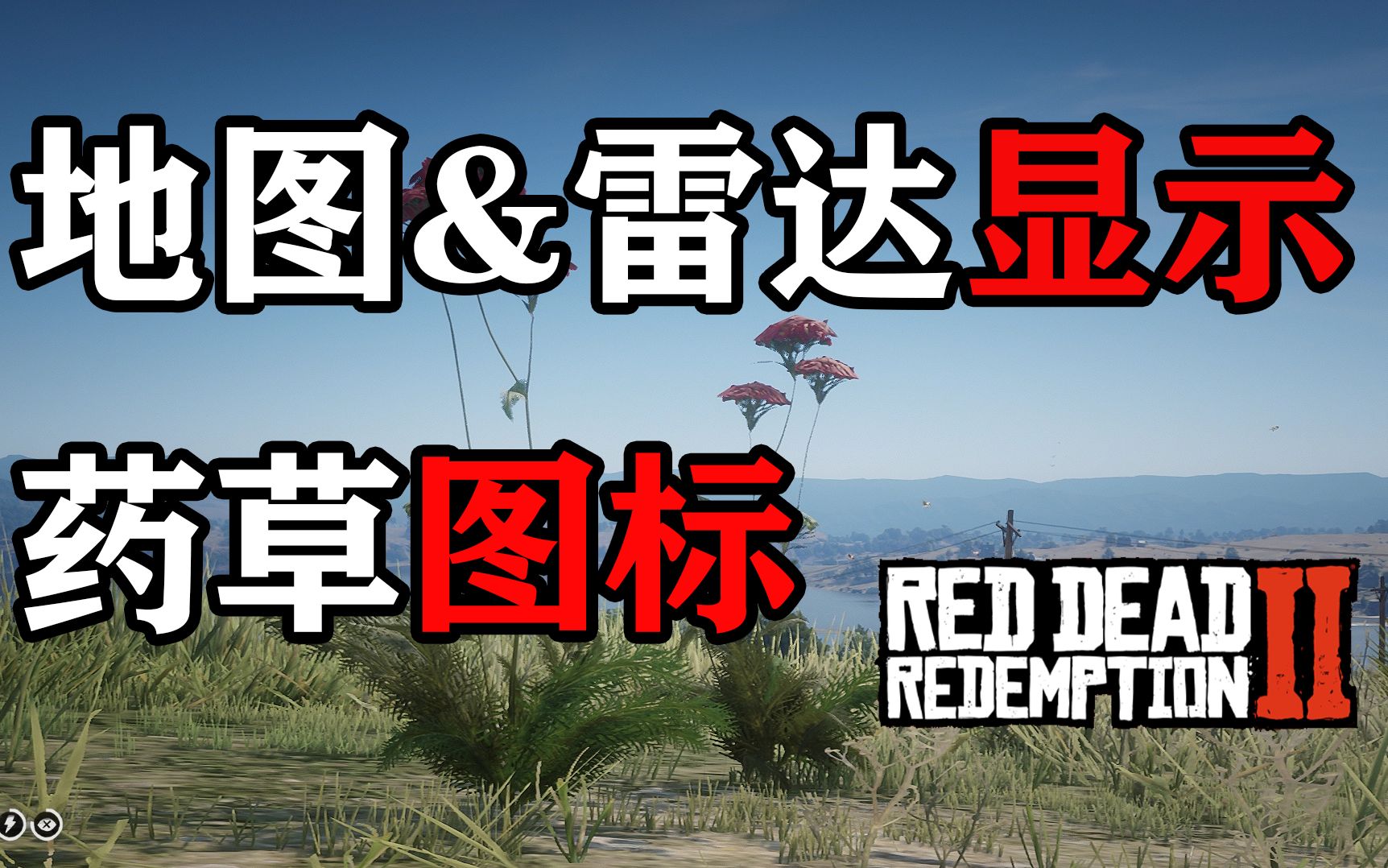 【荒野大镖客2】地图显示药草图标MOD 还原游戏!