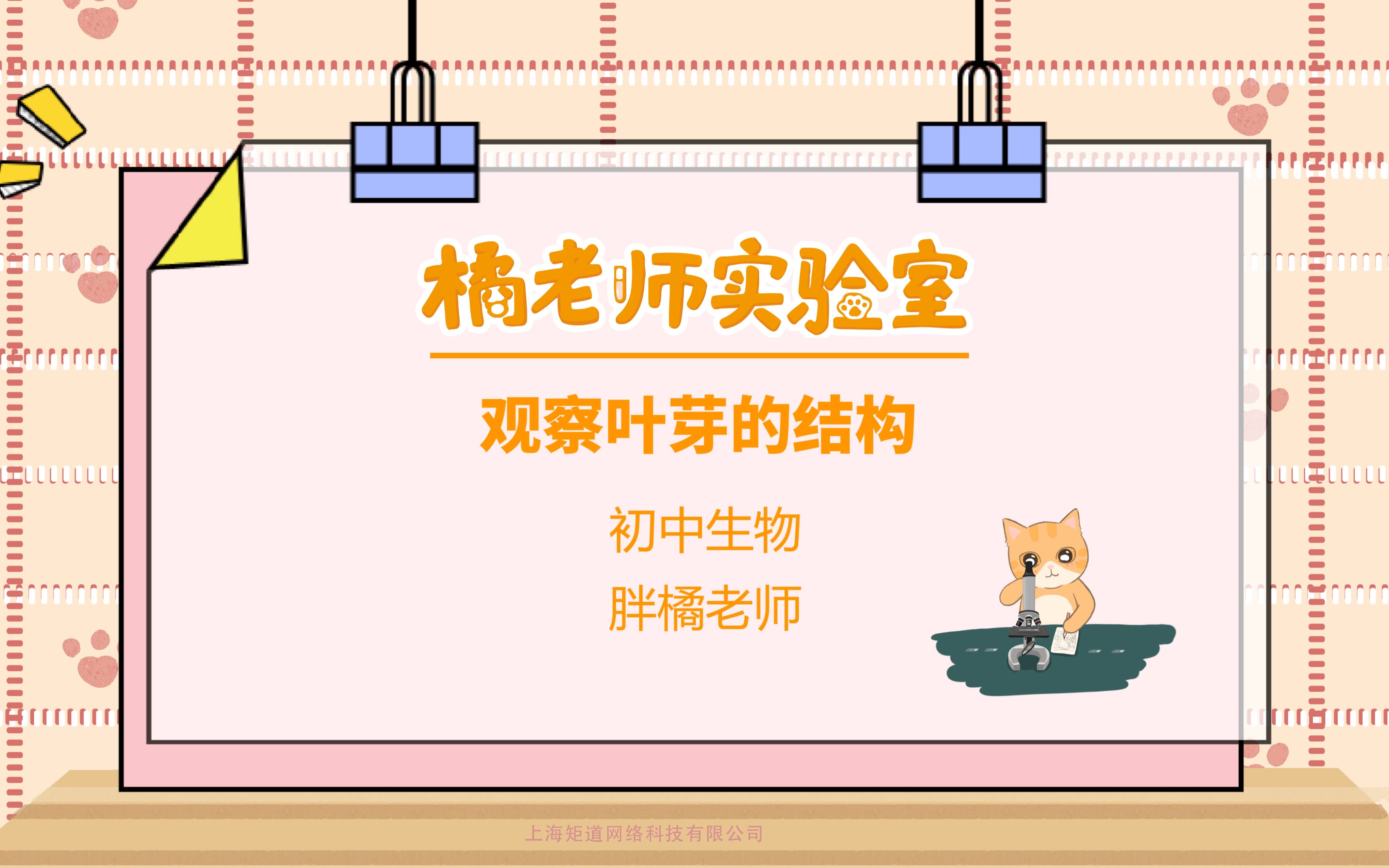 【橘老师实验室】观察叶芽的结构