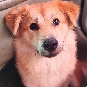 网瘾少年十年初心未改 