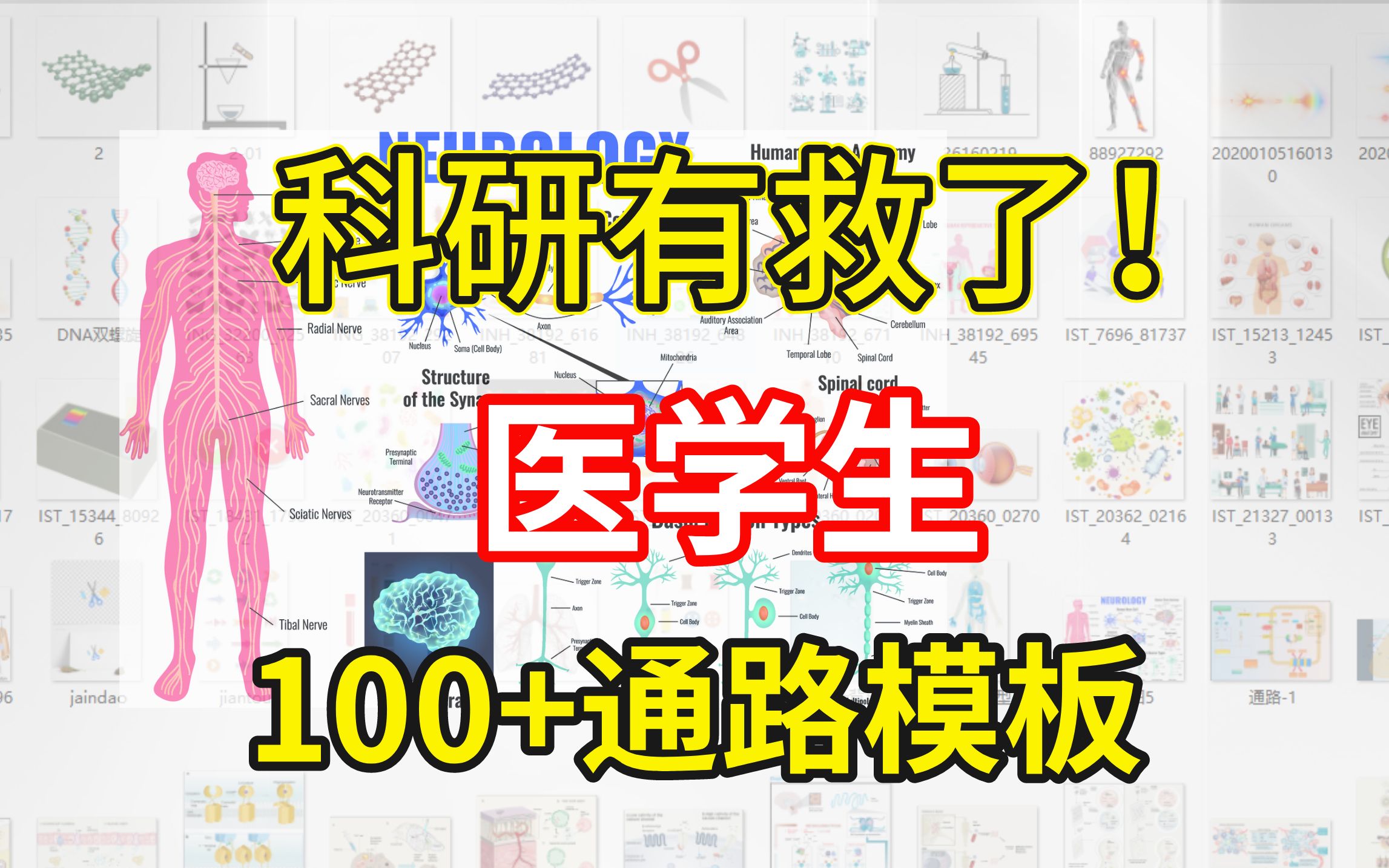 5分钟搞定这些美美的信号通路图,导师对我刮目相看.——医学生/医学AI...