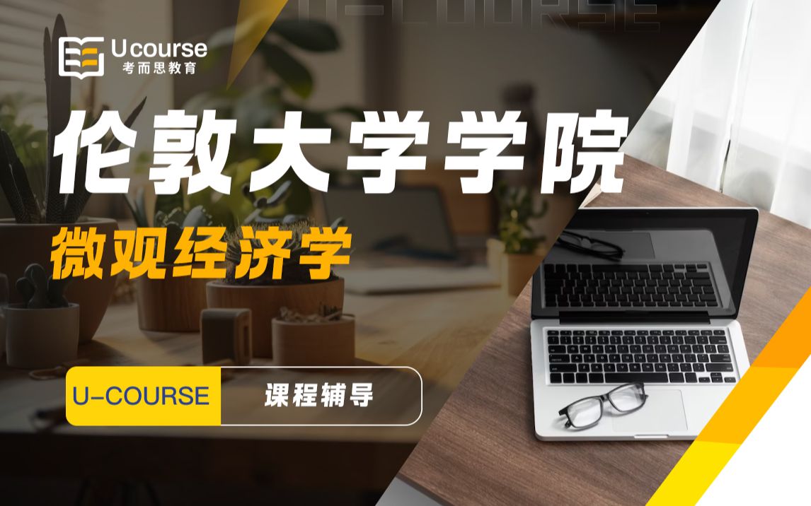 伦敦大学学院UCL统计,经济与金融学专业微观经济学课程final exam...