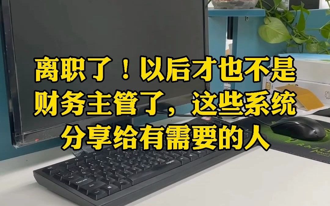 离职了!以后才也不是财务主管了,这些系统分享给有需要的人