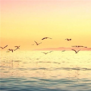 造梦无双15区xczm 