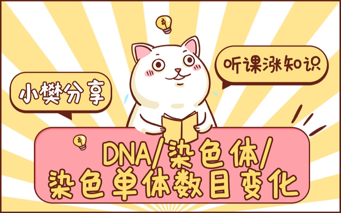 高中生物-一图看懂【DNA/染色体/染色单体数目变化】减数分裂图像问题