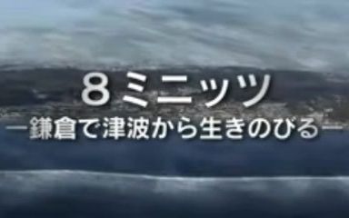 日本神奈川县镰仓市的模拟海啸