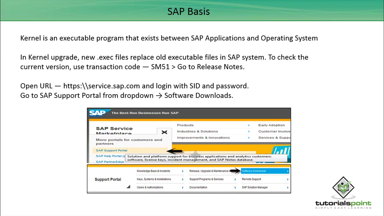 SAP Basis - Kernel Update & Download