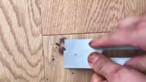 2万木地板被烫3个洞!包工头3000元神修复,现场效果惊艳众人