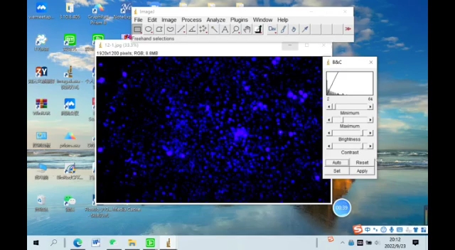 imagej调节荧光强度 科研实用小技能