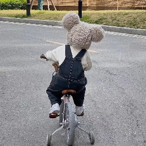 养猫の小鱼儿 