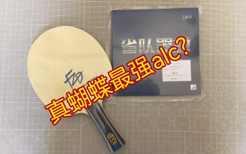 樊振东alc+奔腾蓝省+狂飙880