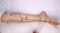 腿部经络之足厥阴肝经走向