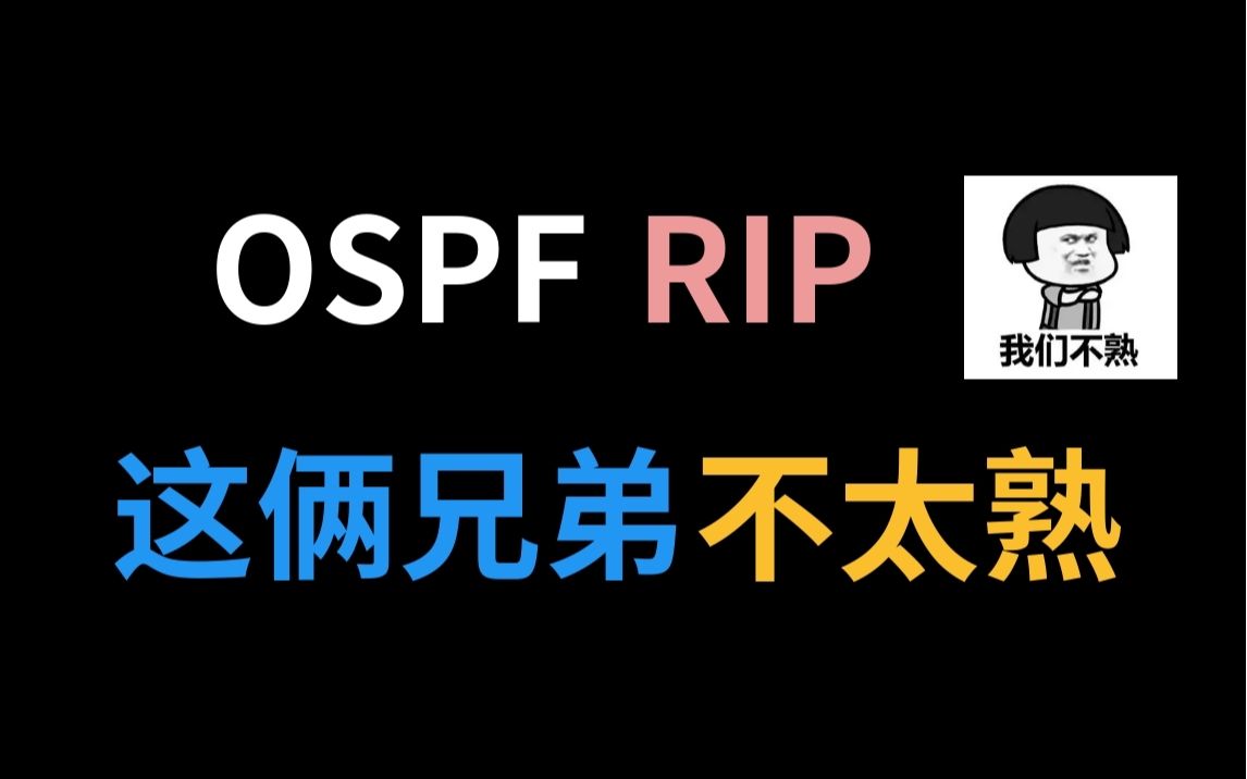 RIP和OSPF同是一个妈生的,你俩为啥不一样?