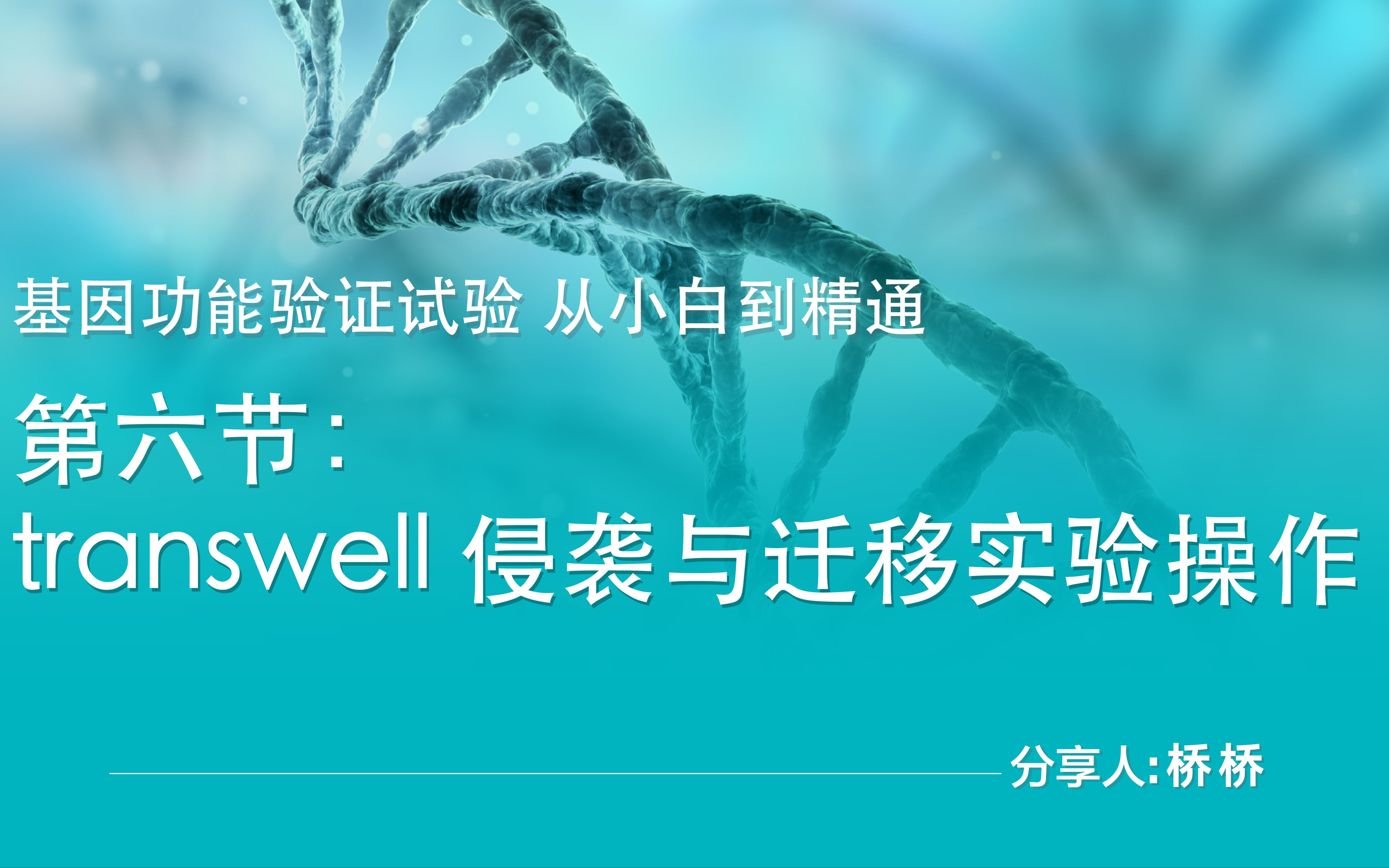 基因功能验证实验,从小白到精通——第六节:transwell 侵袭与迁移实验...