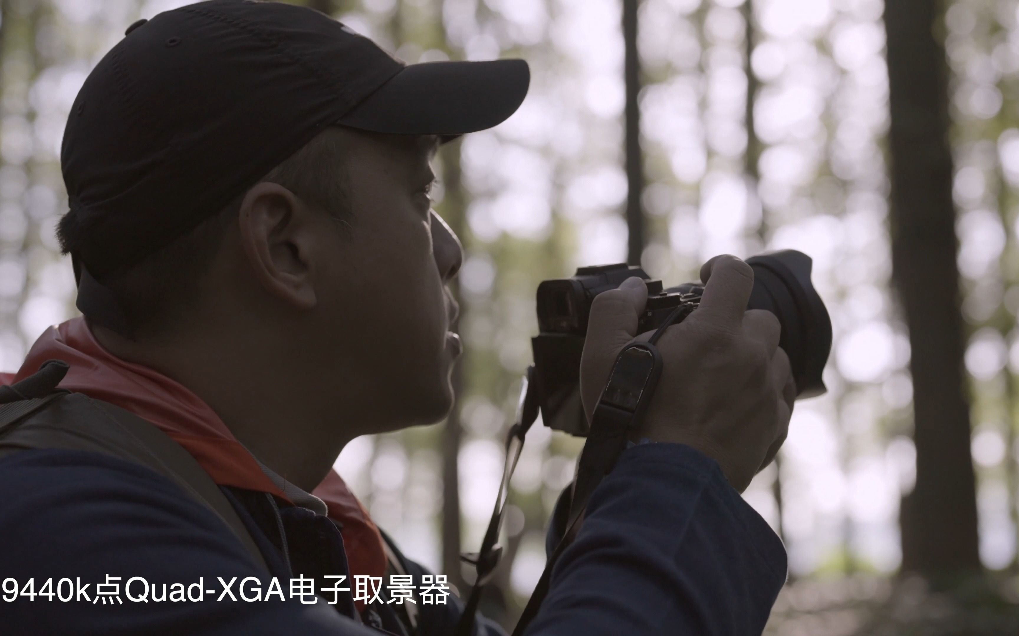 国内首拍样张 | 索尼Alpha 7RV (A7R5)全画幅微单™数码相机