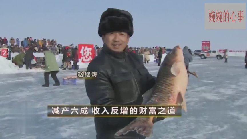 渔民大叔致富有妙招,靠减产减出来的财富,减产六成反增收200万