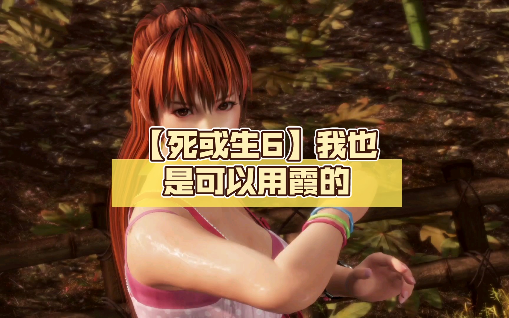 【死或生6】我也是可以用霞的