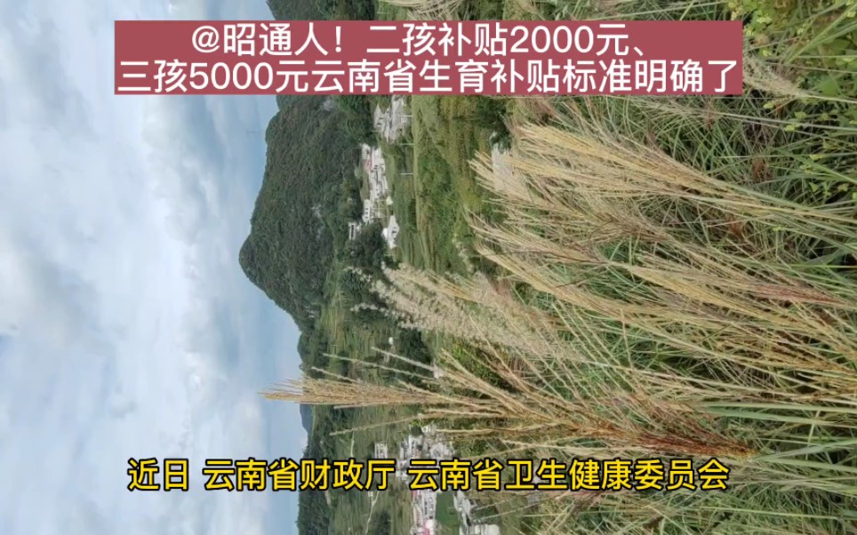 @昭通人三孩补贴5000元、二孩2000元,云南省生育补贴标准明确了
