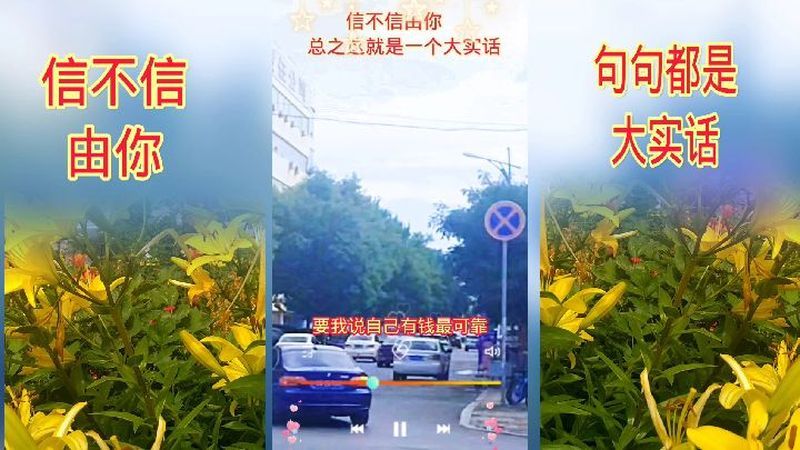 信不信由你句句都是大实话