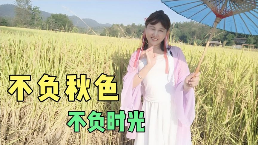 秋天的稻田像一片金黄的海洋,站在稻田边闻到阵阵稻谷香