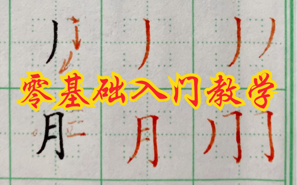 硬笔楷书零基础入门教学,基本笔画——竖撇