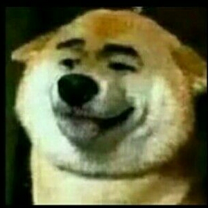 排位毒瘤 