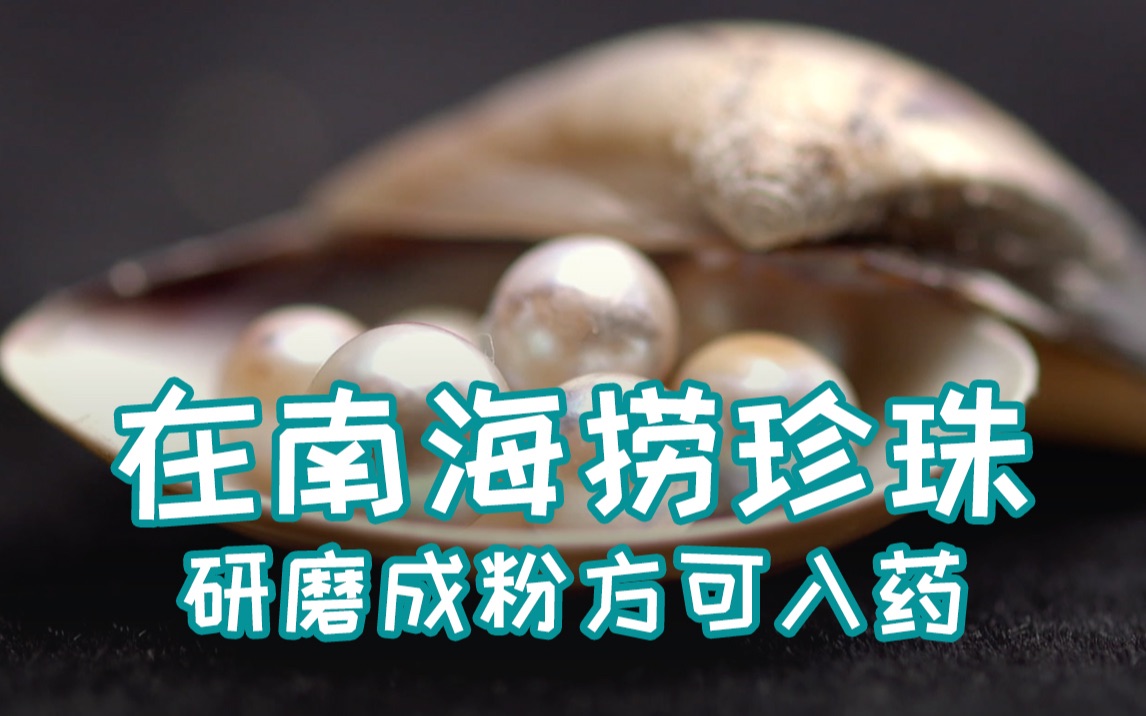 在南海捕捞珍珠,研磨成粉入药