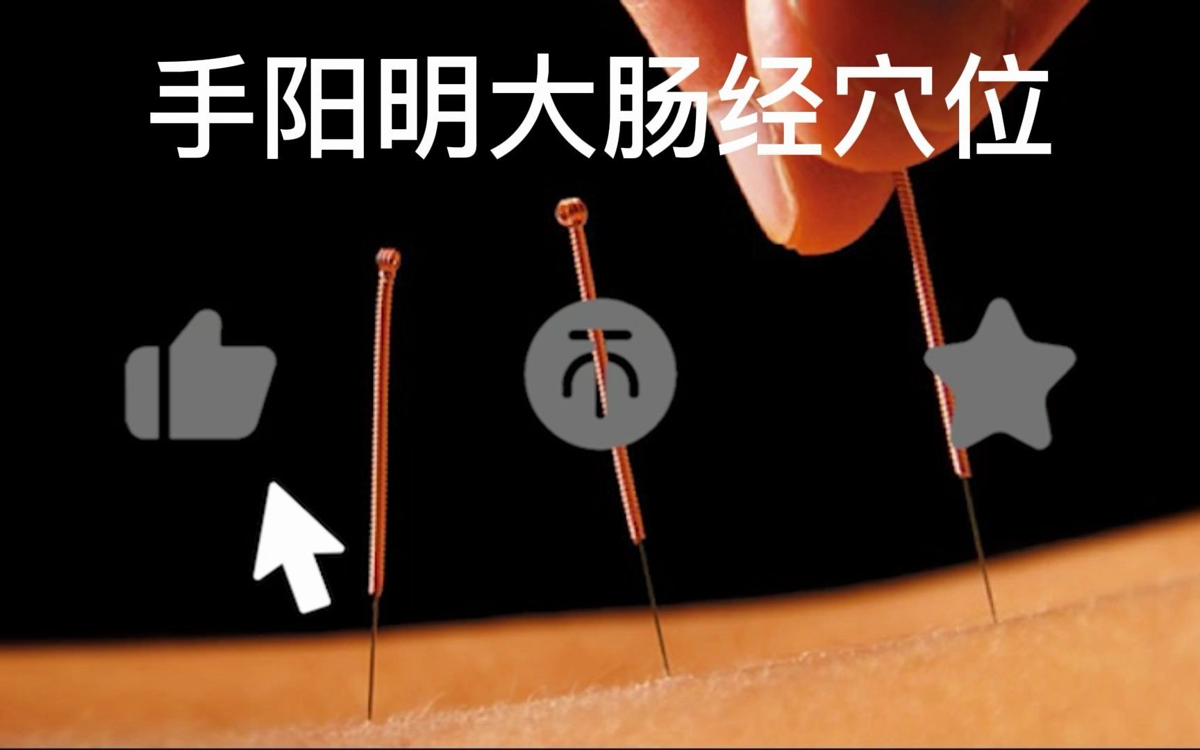 针灸穴位手阳明大肠经(一)