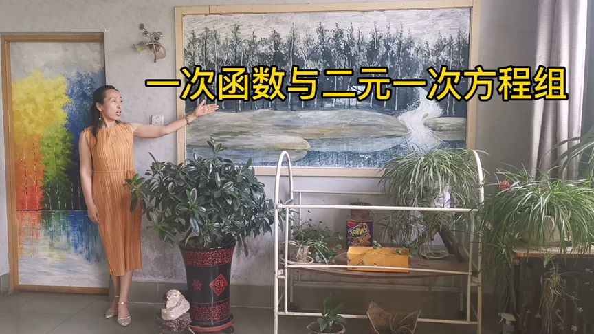 初二数学知识点精讲,一次函数与二元一次方程组