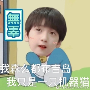 光源-凯宝和严宝 