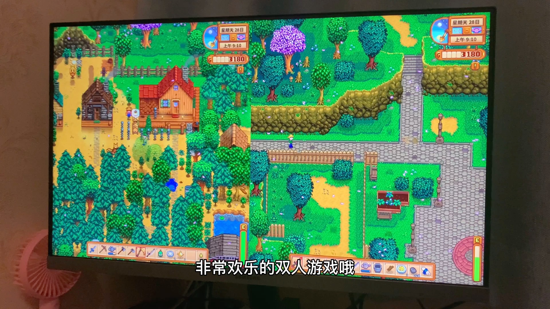 电脑本地双人游戏之星露谷物语