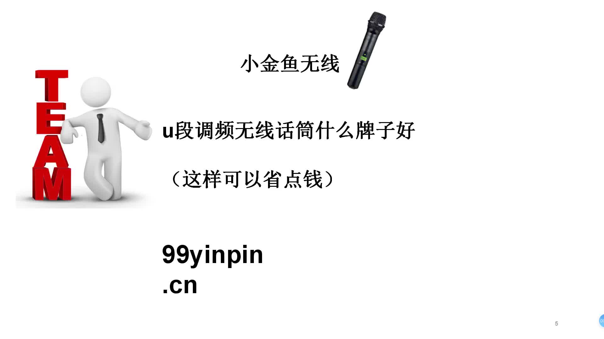 u段调频无线话筒什么牌子好(可以省点钱)