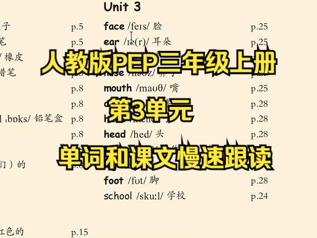人教版PEP三年级上册第2单元单词和课文慢速跟读完整版
