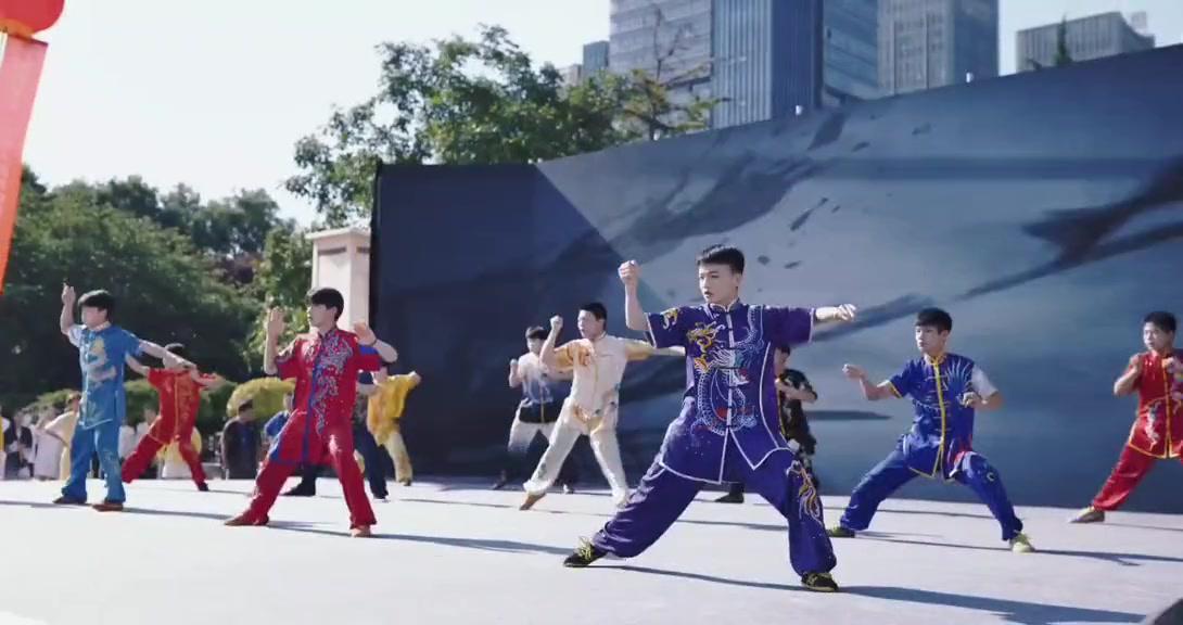 陕西省中医药文化传播暨庆祝中医药法施行五周年.