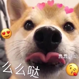 火龙王qwa 