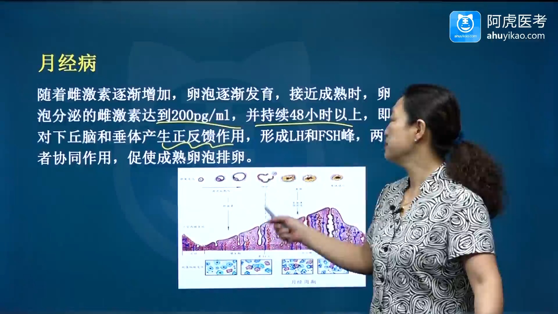 2025年全科医学副高正高考试视频主任医师高级职称课程课件题库押...