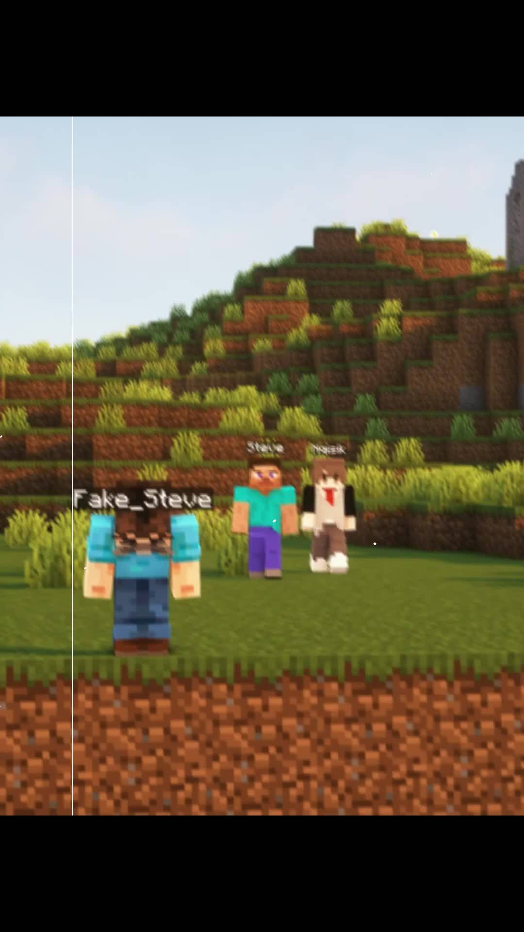 我的世界虚假标记