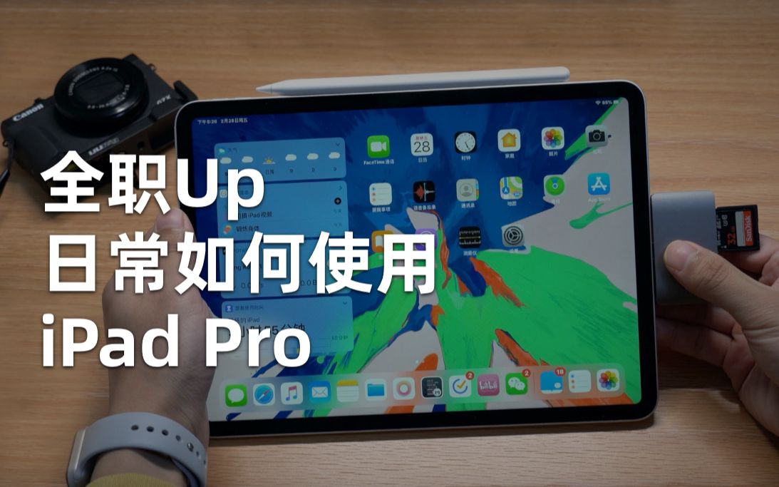 【黄杨】全职Up主日常是如何使用iPad Pro的?