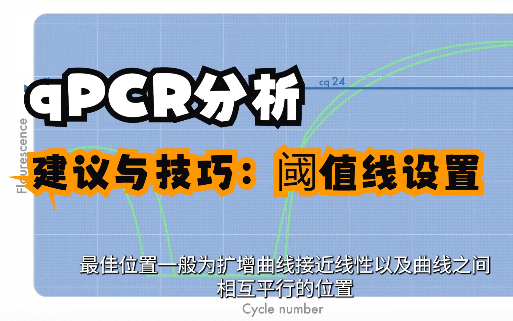 qPCR 分析 建议与技巧: 阈值线设置